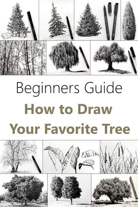 Tree Drawing Guide Trees Drawing Tutorial Realistic Drawings Tree Drawing