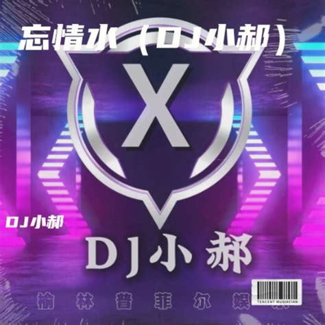 忘情水 别烦小郝 高音质在线试听 忘情水歌词 歌曲下载 酷狗音乐