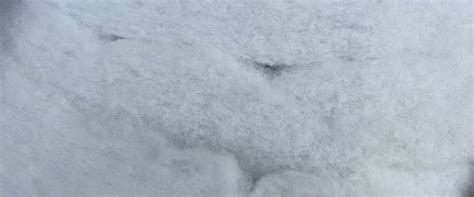 Polyester Insulation Amelior Insulation