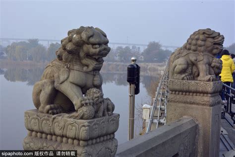 北京卢沟桥石狮子栩栩如生 姿态各异萌态十足数不胜数
