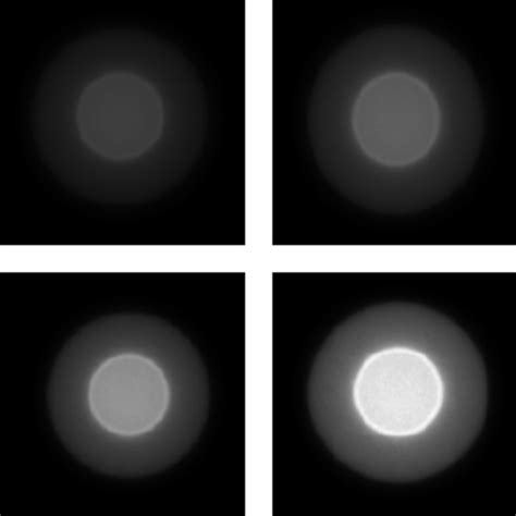 Image Reconstruction Results Vs Iteration Numbers Iteration Number5 Download Scientific