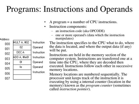 Ppt Computing Systems Organization Powerpoint Presentation Free