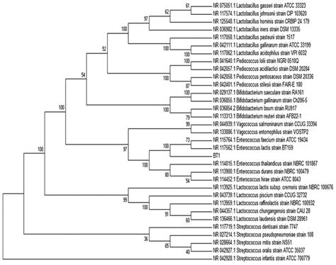 Most Parsimonious Tree With Bootstrap Values For The Identification Of