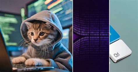 List Nmap And Metasploitable Curated By Val R Medium