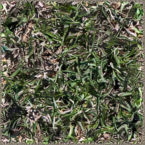 Source Our Result Gatys Et Al