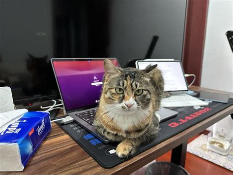 现在公司里做设计用sv还是verilog 知乎