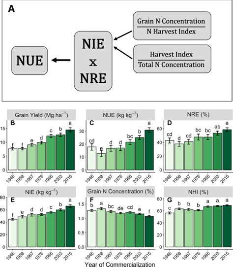 Simultaneous Gains In Grain Yield And Nitrogen Efficiency Over 70 Years Of Maize Genetic