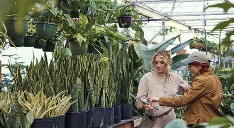 Hp Launches Its Newest Hp Spectre And Hp Envy Laptops Channel Post Mea