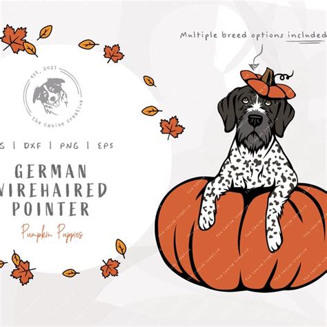 Wirehaired Pointer Etsy