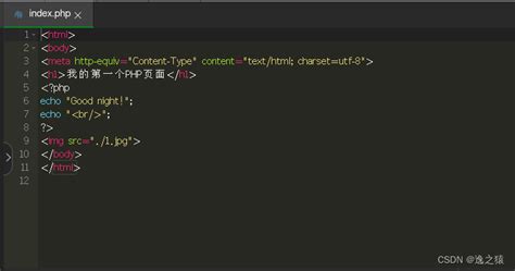 我的第一个php页面 php初始页面 csdn博客