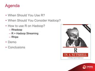 Introduction Of R On Hadoop PPT