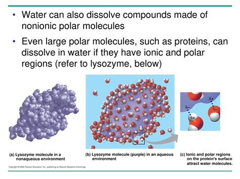 2 The Chemical Context Of Life Ppt Download