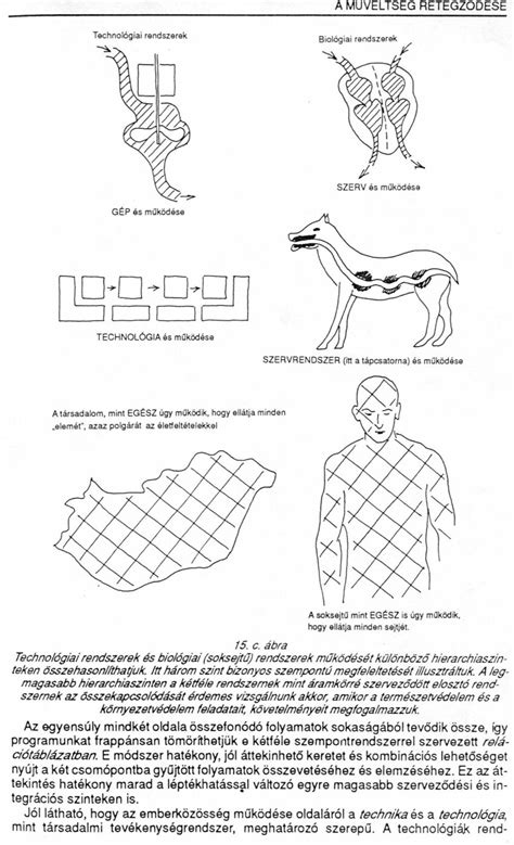Two Parallel Structural Hierarchies Examples Left From Technology