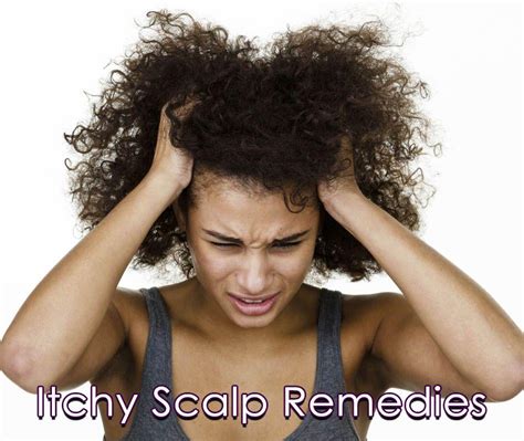 Natural Remedies For Itchy Scalp Natural Hair Itchy Scalp