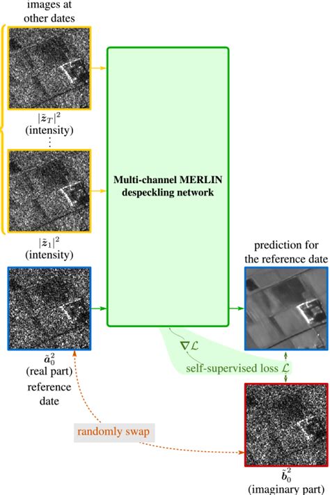 Article Multitemporal Speckle Reduction With Self Supervised Deep