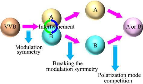 Schematic Of Inherent Polarization Mode Extraction From A Vvb Here A Download Scientific