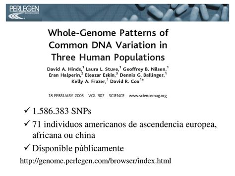 Selección De Snps En Xenética Médica Ppt Download