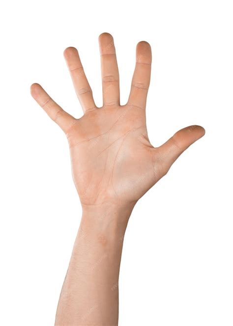 Premium Photo Raised Hand Five Fingers