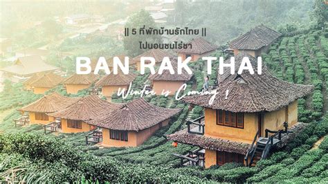5 ที่พักบ้านรักไทย แม่ฮ่องสอน ไปนอนชมไร่ชา ในหน้าหนาว