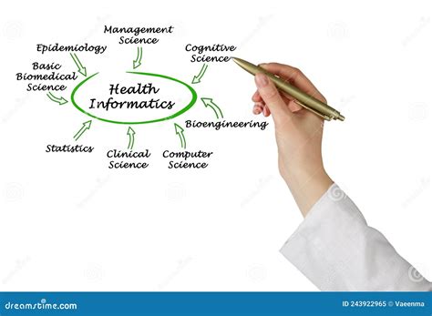 Components Of Health Informatics Stock Image Image Of Components Basic 243922965