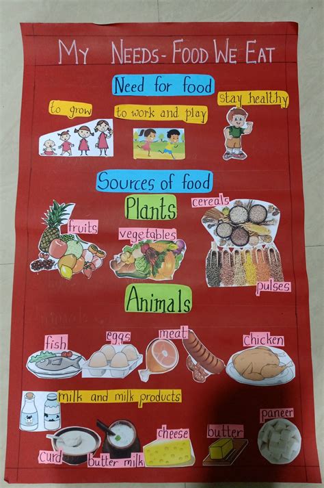 Educational Food Posters For Schools