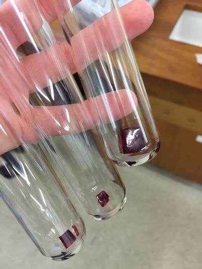 An Experiment To Investigate The Effect Of Surface Area Volume Ratio On Diffusion Rate ﻿