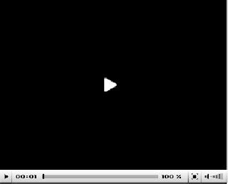 Untold Stories Asian Porn Star Brandon Lee Nude Photos