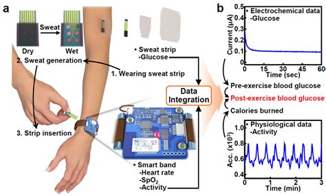 Sensing Glucose While Sweating Advanced Science News