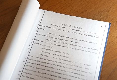 Stenographer Transcript