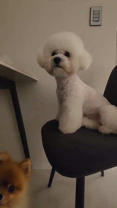 밥 내놔라 밥줘 배고파 엄마밥줘 묻지마 빨리밥주세요 현기증난다구요 Youtube