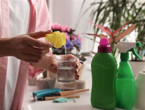 How To Make Homemade Fertilizer For Your Lawn Backyard Boss