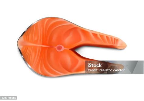 현실적인 물고기 연어의 스테이크 벡터 그림을 흰색 배경에 고립입니다 건강한 식생활에 대한 스톡 벡터 아트 및 기타 이미지