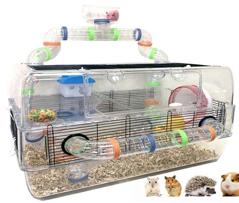 How Do I Set Up A Hamster Cage