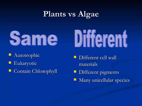 Algae And Protisian Molds Ppt