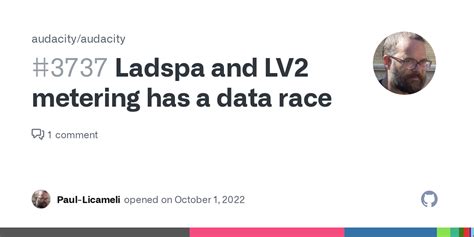 Ladspa And Lv Metering Has A Data Race Issue Audacity