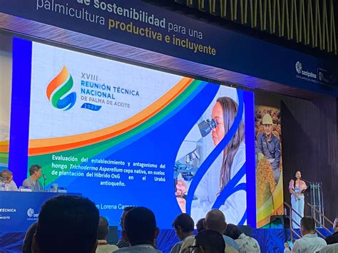 Evalúan El Comportamiento De Trichoderma Asperellum En Cultivos De Palma Redagrícola