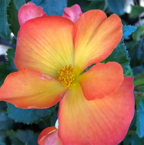 Dr Michael Stoddard Added A New Dr Michael Stoddard