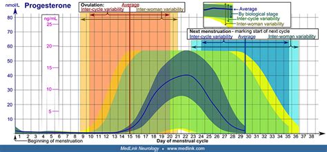 Sex Hormones And The Nervous System MedLink Neurology