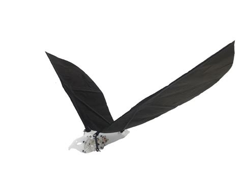 Flapping Wing Uav Ornithopter Abdurrahim Yilmaz