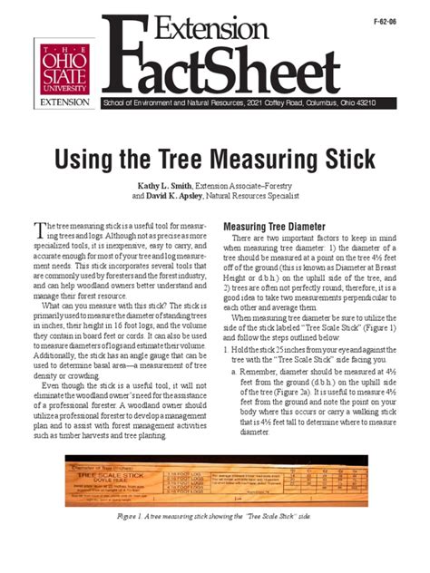 0062 Tree Scale Stick Pdf Pdf Lumber Wood