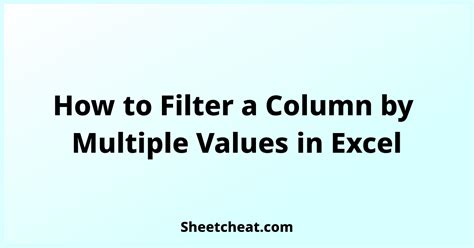 How To Filter A Column By Multiple Values In Excel