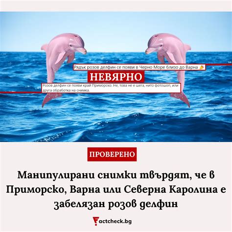 🐬 През последните дни социалните мрежи са буквално залети от снимки на розов делфин който скача