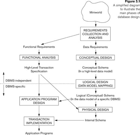 chapter 3 data modeling using the entity relationship er model flashcards quizlet