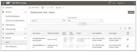 User Management In Sap Btp