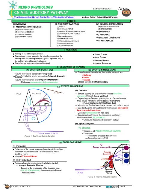 670989779 Ninja Nerd Notes Auditory Pathway 1 Download Free Pdf