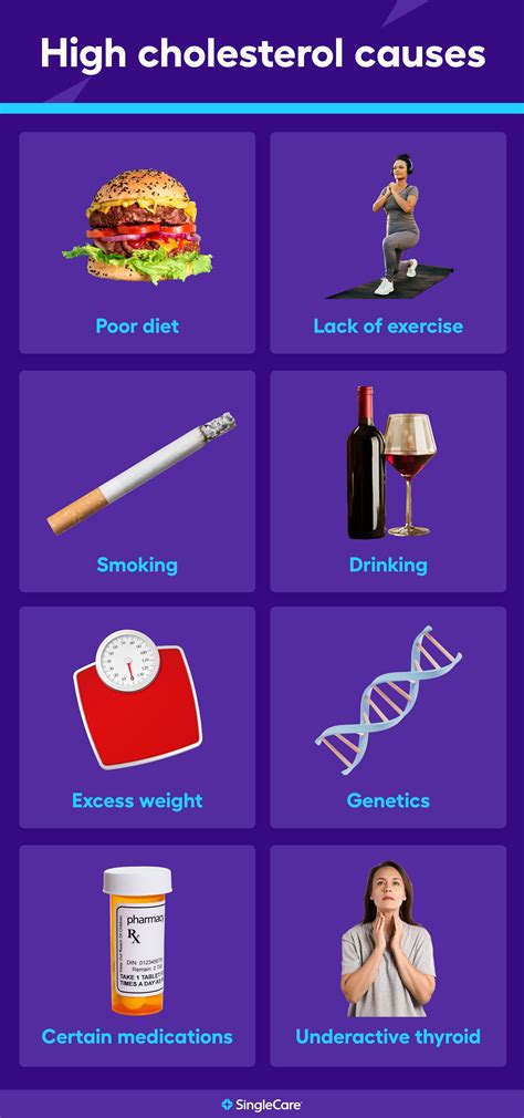 What Causes High Cholesterol Diagnosis Prevention And Treatment