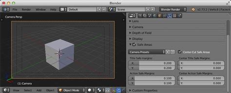 Adjust Safe Area Dimensions In Camera View Basics Interface