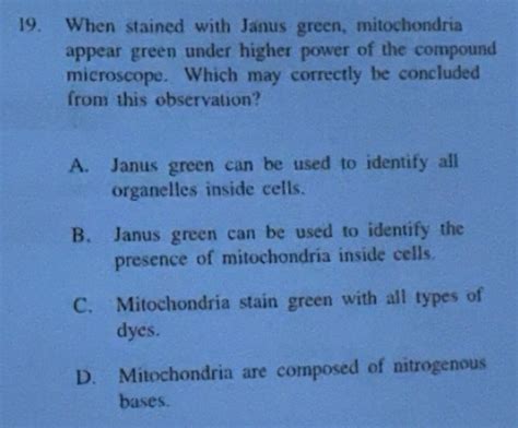 Solved When Stained With Janus Green Mitochondria Appear Green Under Higher Power Of The