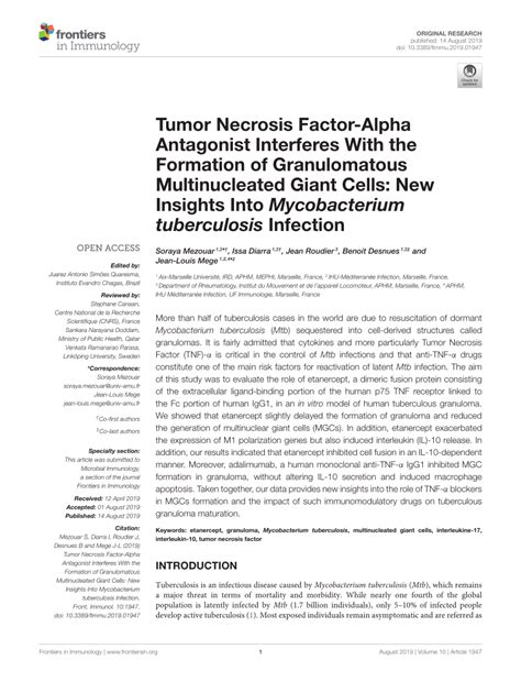 Pdf Tumor Necrosis Factor Alpha Antagonist Interferes With The