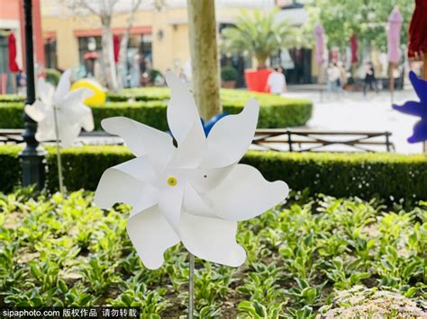 北京感受花乡奥莱村夏日好时光